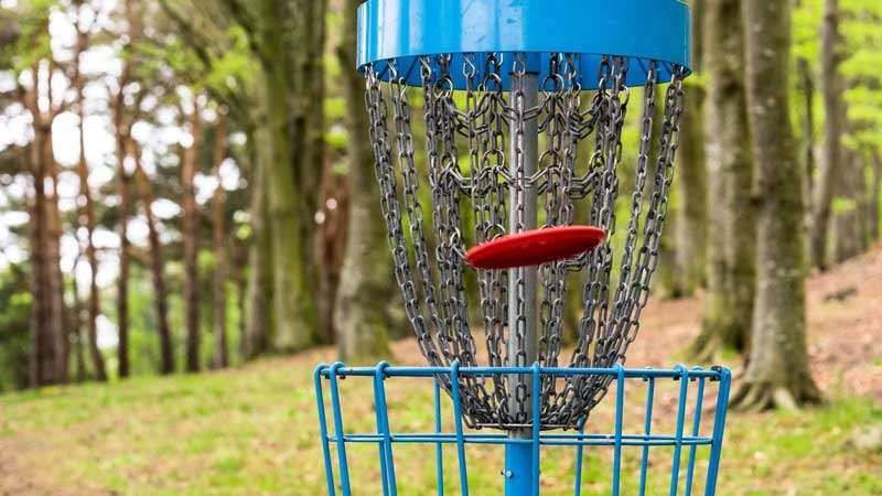 Disc Golf in Blackstone? A New Proposal Aims to Revive Public Land ...
